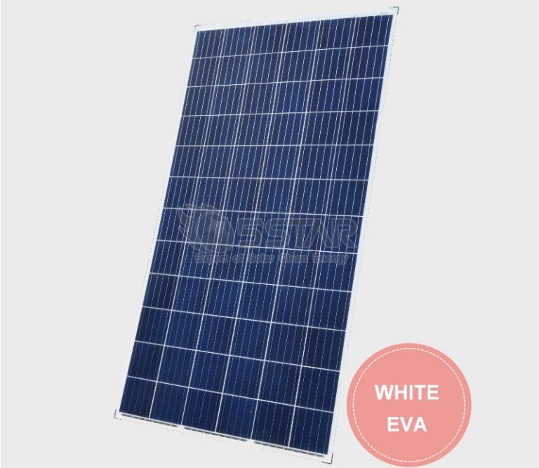 PV Module (Double-Glass, POLY) – Guangdong Fivestar Solar Energy Co., Ltd